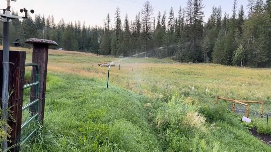 Our Farm Watering System at Riverbend — Homesteading Family