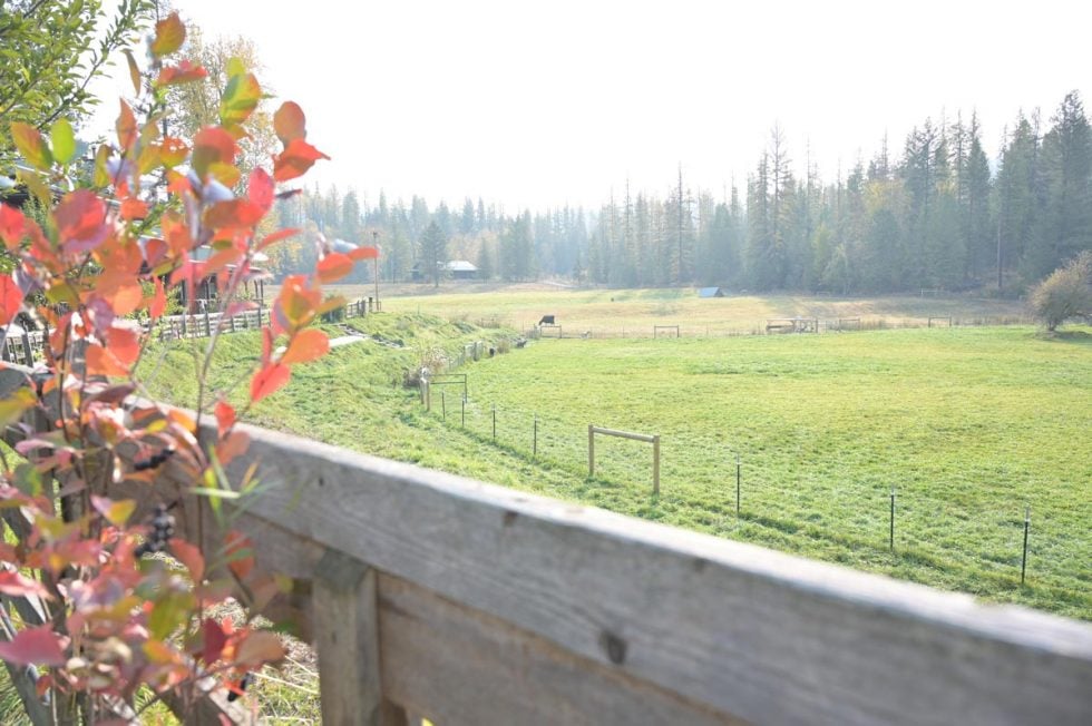 How to Buy a Homestead Property - What To Know Before You Buy