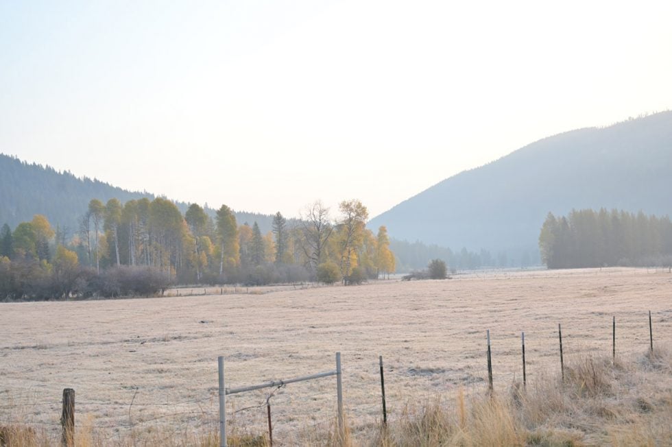 Tips for Moving to a Rural Area — Homesteading Family