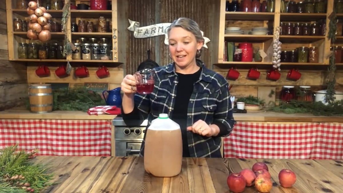 Sparkling Apple Cider - Homemade — Homesteading Family