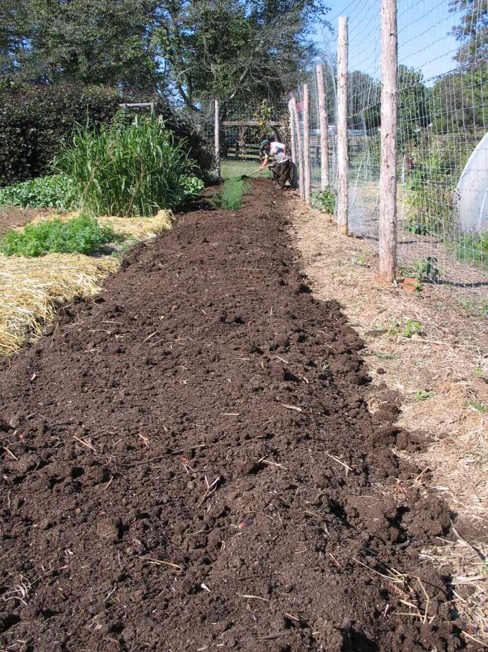 Deep Litter Method for Backyard Chickens (With or Without a Coop ...