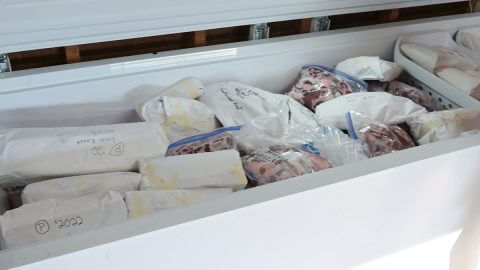 Foods You Should Not Freeze — Homesteading Family