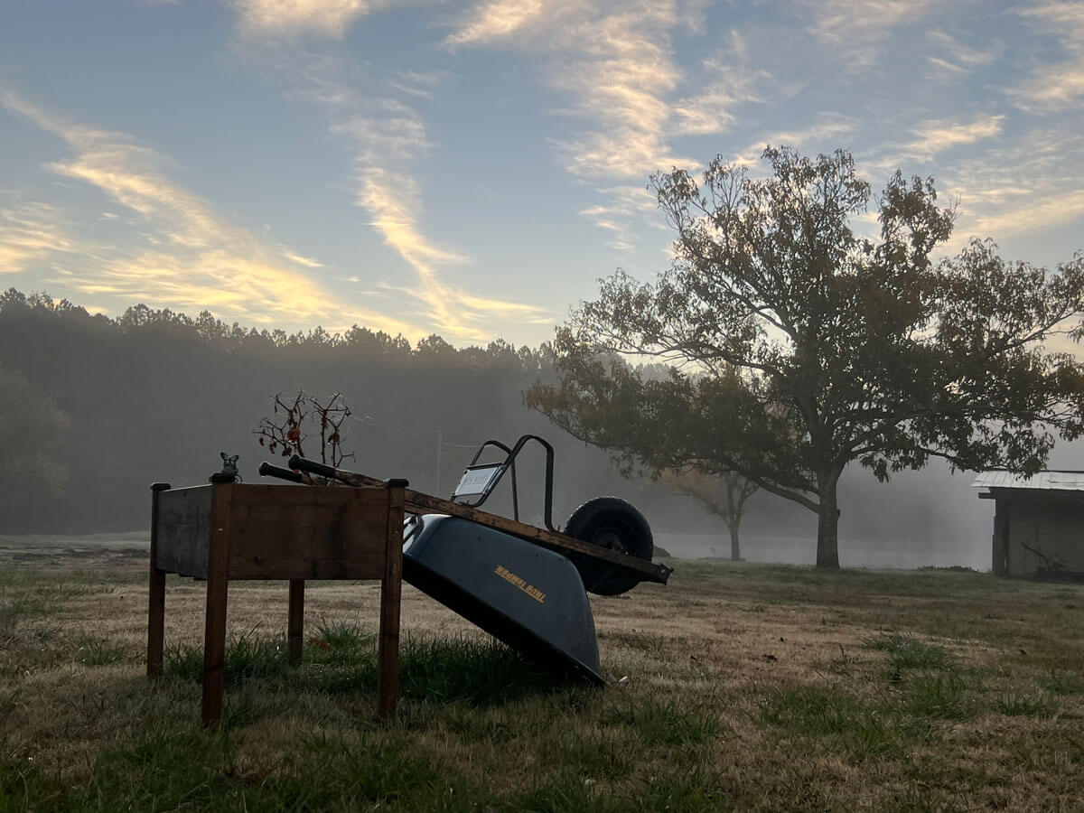 First Time Homesteader with Jessica Sowards — Homesteading Family