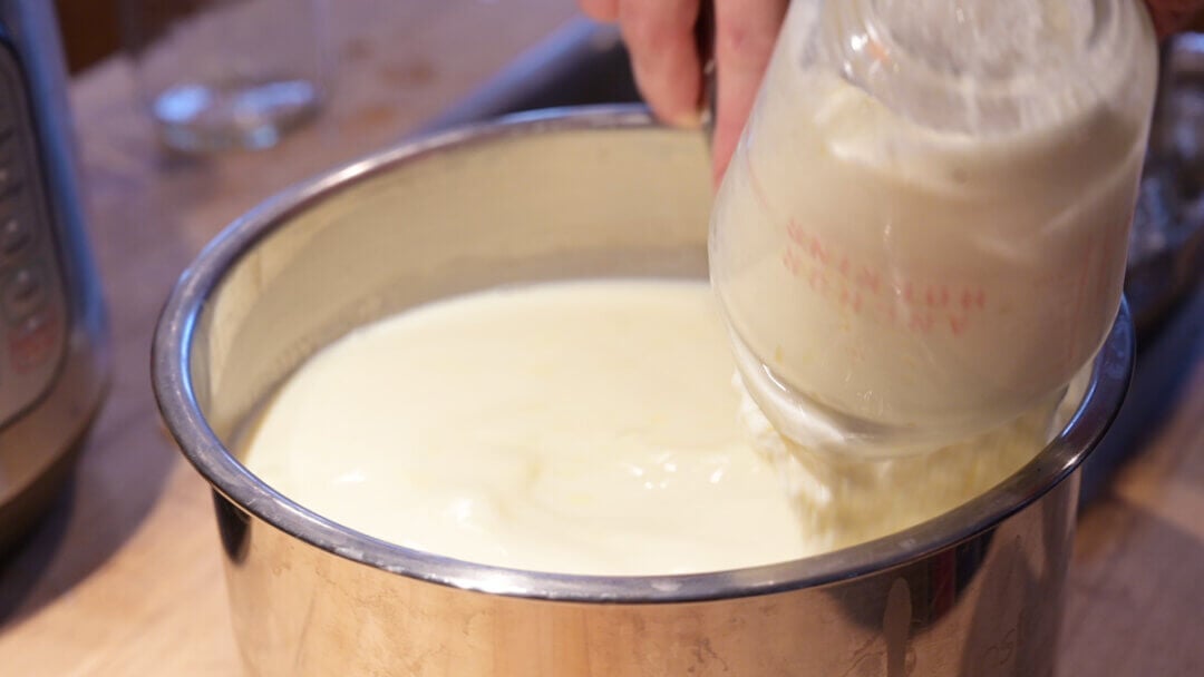 Starter Culture for Fermentation (+ Freeze Drying Tips) — Homesteading ...