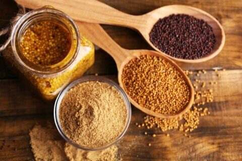 Homemade Mustard Plaster (For Chest Congestion Relief) — Homesteading ...