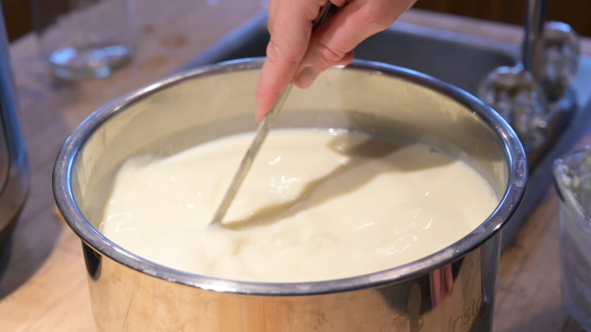 Freeze Dried Yogurt Recipe — Homesteading Family