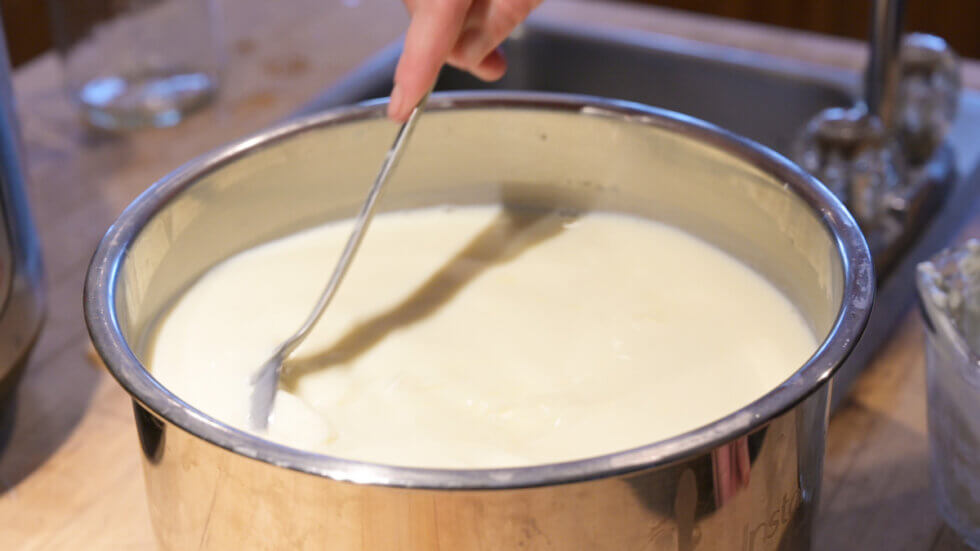 Easy Instant Pot Yogurt Recipe (Step-by-Step) — Homesteading Family