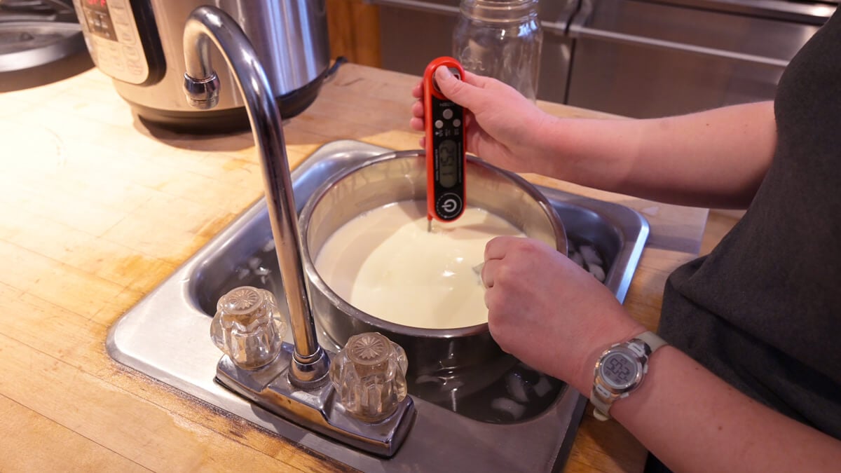 Easy Instant Pot Yogurt Recipe (Step-by-Step) — Homesteading Family