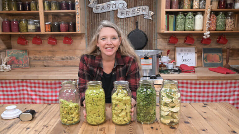 Freeze Dried Avocados (+ Freeze Dried Guacamole) — Homesteading Family