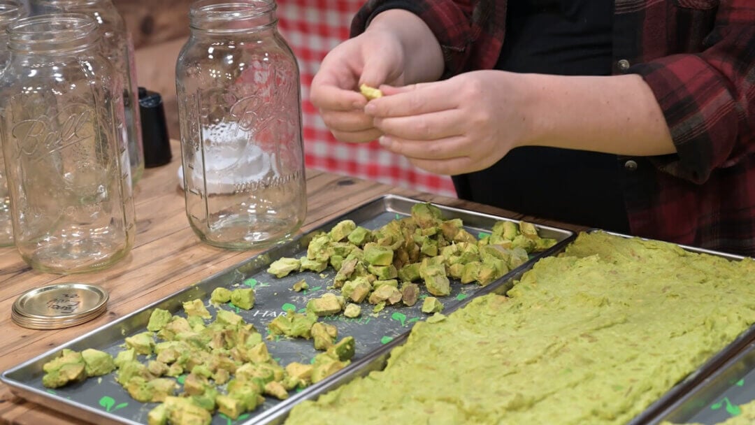 Freeze Dried Avocados (+ Freeze Dried Guacamole) — Homesteading Family