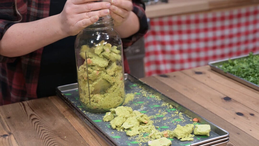 Freeze Dried Avocados (+ Freeze Dried Guacamole) — Homesteading Family