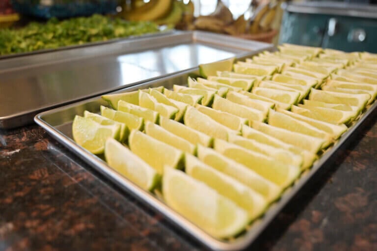 Freeze Dried Avocados (+ Freeze Dried Guacamole) — Homesteading Family