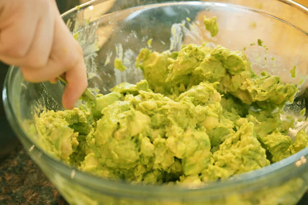 Freeze Dried Avocados (+ Freeze Dried Guacamole) — Homesteading Family