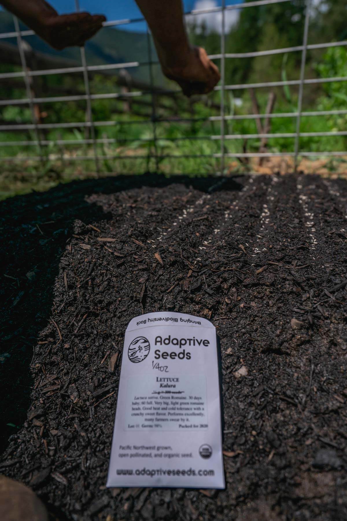How to Read Seed Packets — Homesteading Family