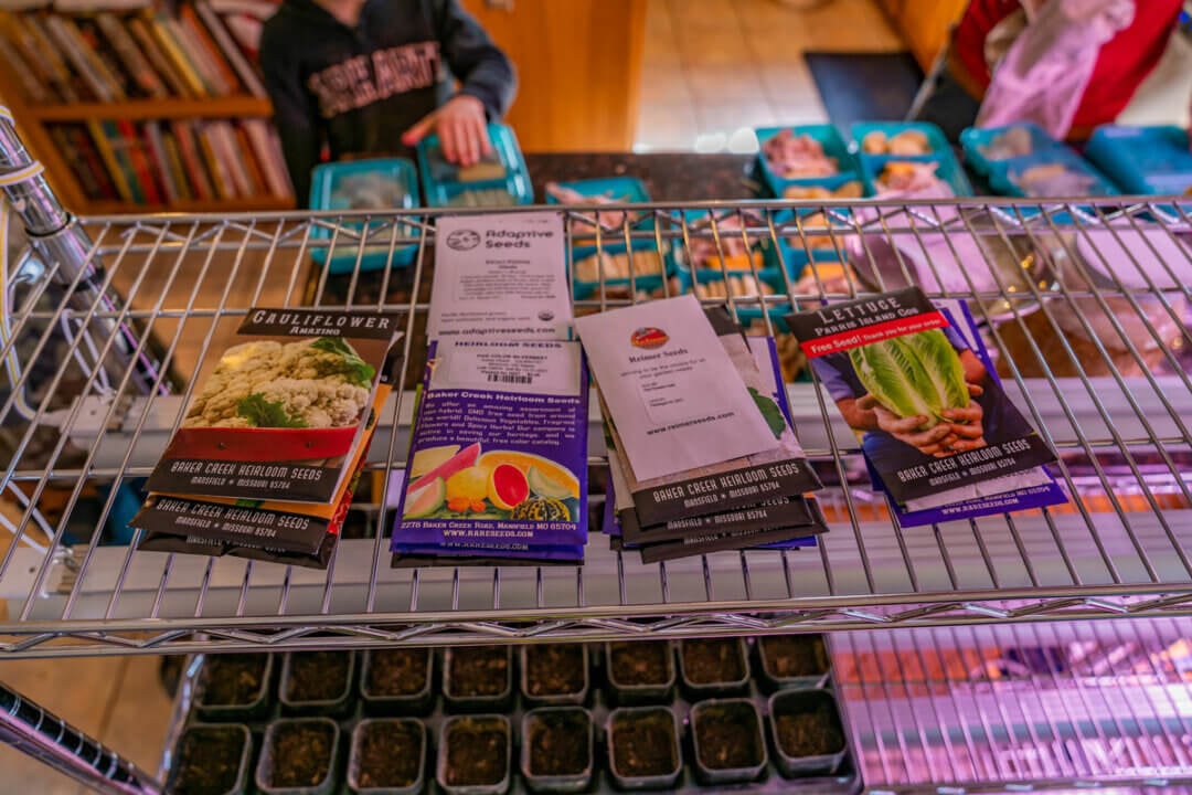 How to Read Seed Packets — Homesteading Family