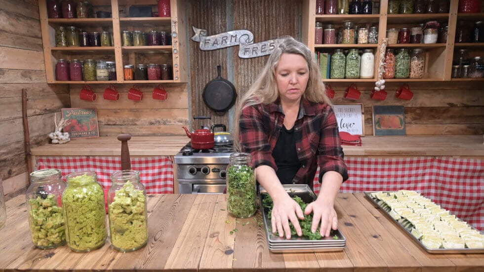 Freeze Dried Avocados (+ Freeze Dried Guacamole) — Homesteading Family