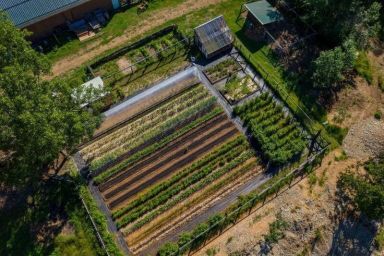 How Much Land is Needed to Raise a Year's Worth of Food — Homesteading ...