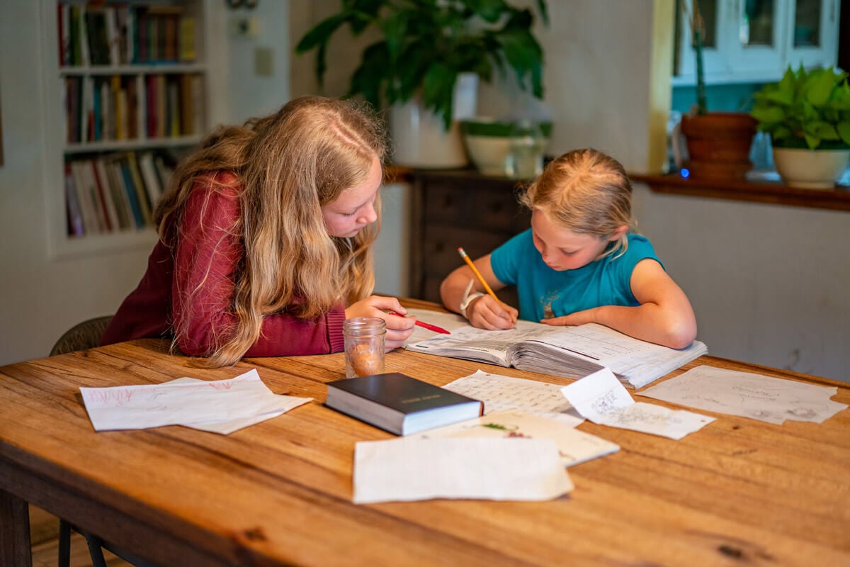 Daily Transitions for a Productive Day — Homesteading Family