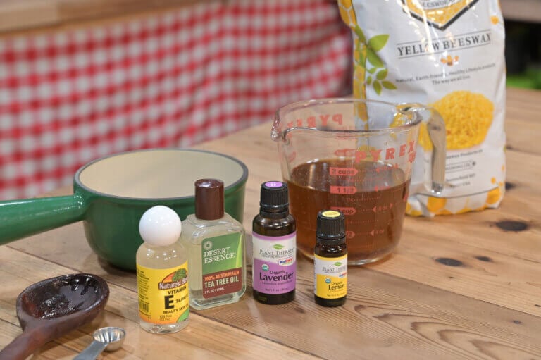 Homemade Antibiotic Ointment (Better Than Neosporin) — Homesteading Family