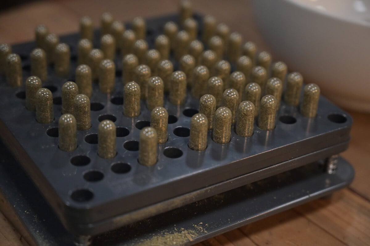 Easy Home Remedy for Allergies (+ Hay Fever) — Homesteading Family