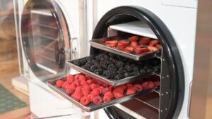 What Foods Cannot Be Freeze Dried — Homesteading Family