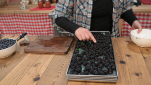 Freeze Drying Berries (Easy Snack + Stores for Years) — Homesteading Family
