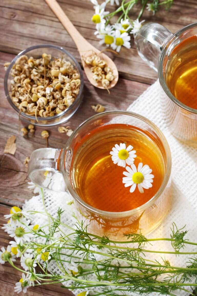 Growing Chamomile — Homesteading Family
