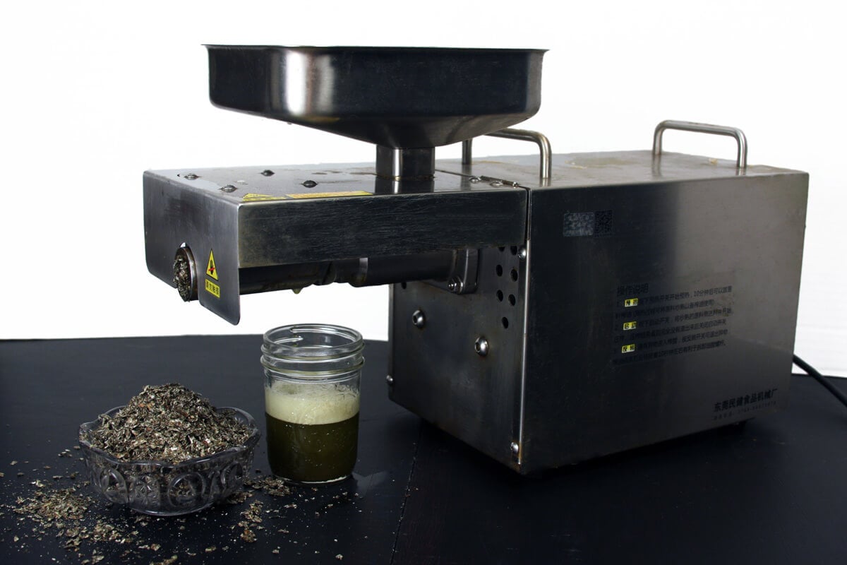 Growing & Pressing Your Own Seed Oil — Homesteading Family