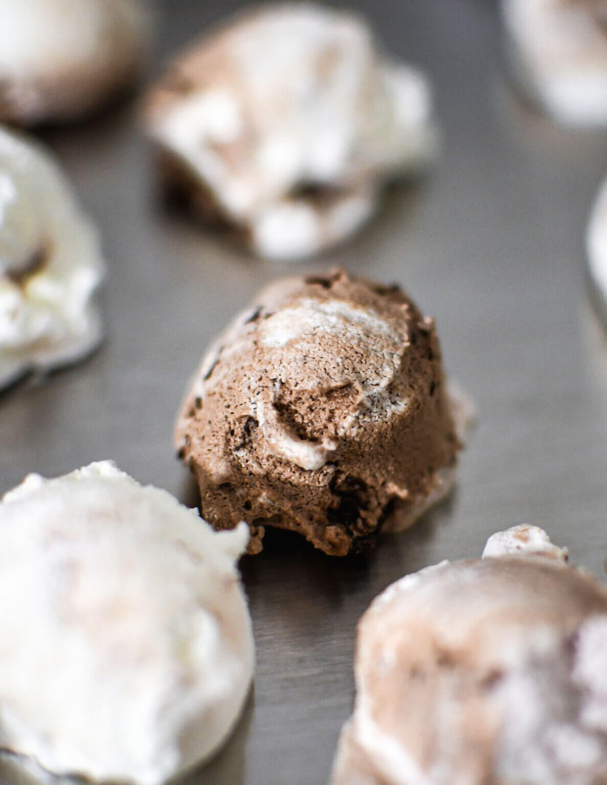 How to Freeze Dry Ice Cream — Homesteading Family