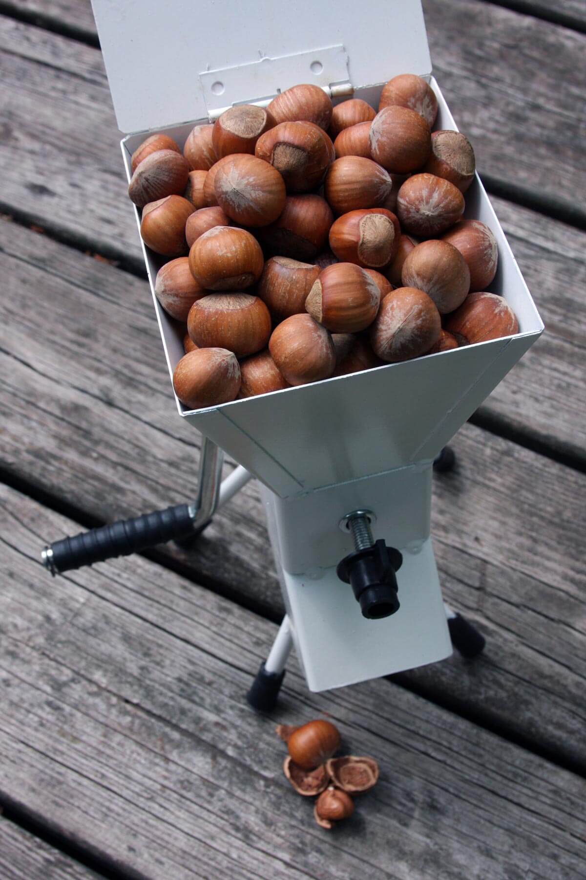 What Foods Should Not Be Canned — Homesteading Family