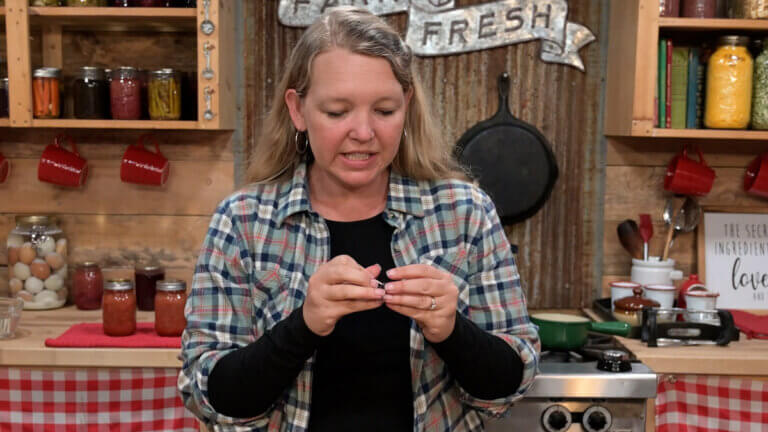 Freeze Drying Berries (Easy Snack + Stores for Years) — Homesteading Family