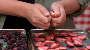 Freeze Drying Berries (Easy Snack + Stores for Years) — Homesteading Family