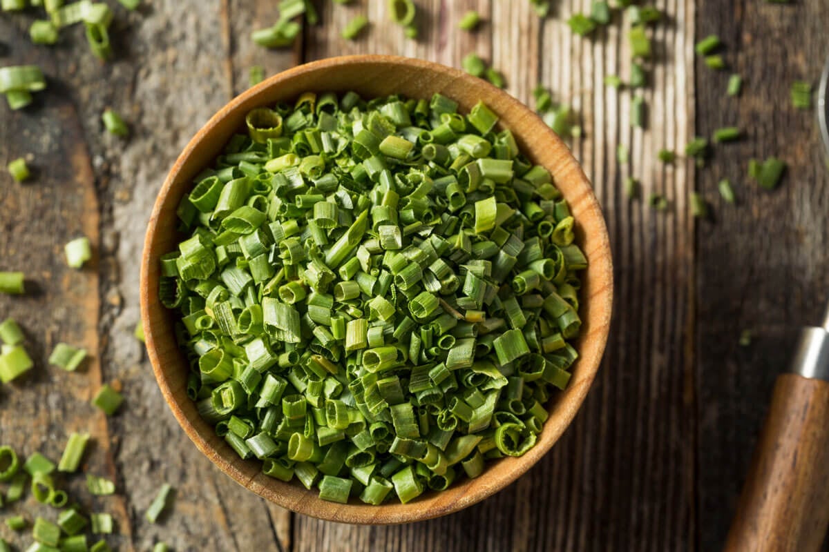 How to Grow Chives (Plant, Harvest, Preserve) — Homesteading Family