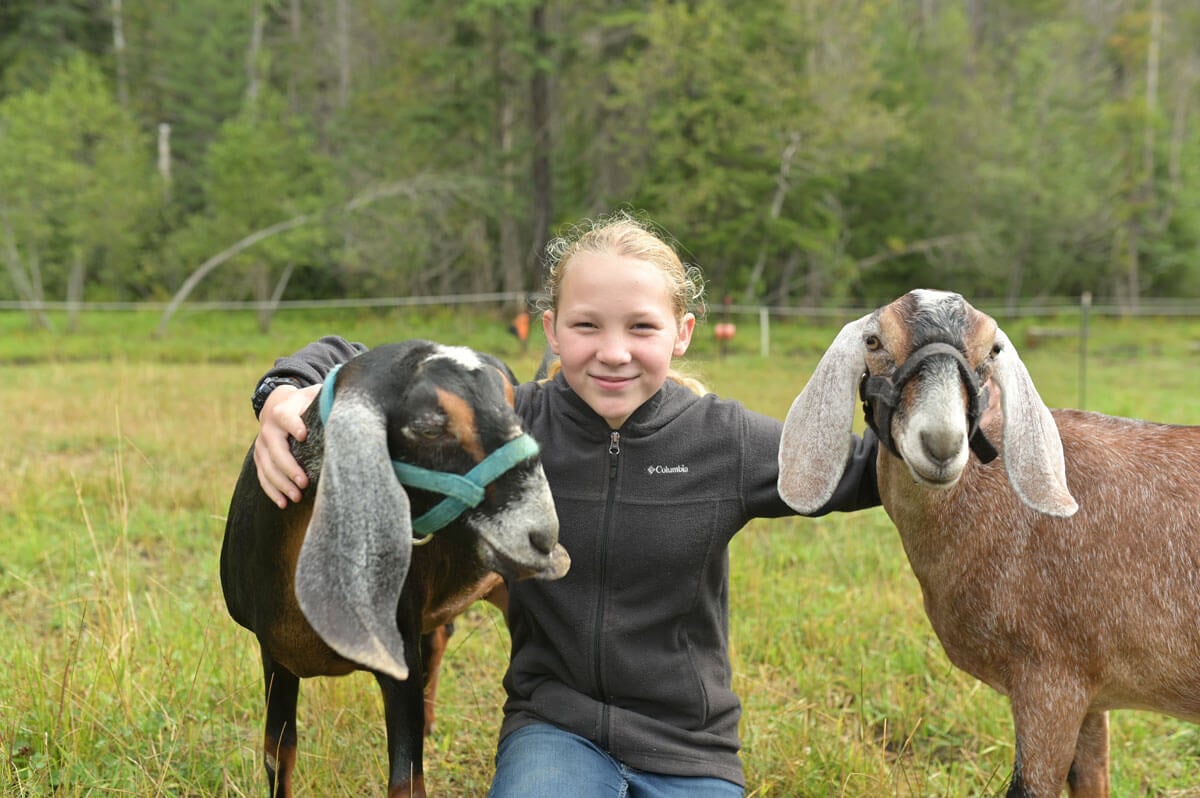 Dairy Animals for the Homestead — Homesteading Family