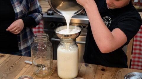 Process Raw Milk at Home Safely & Easily! — Homesteading Family
