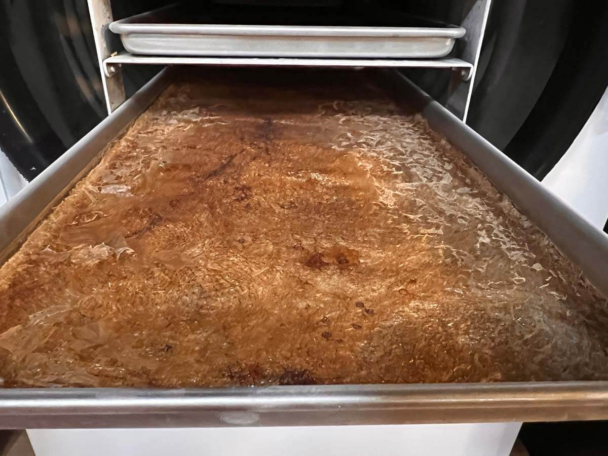 How to Make Freeze Dried Coffee — Homesteading Family