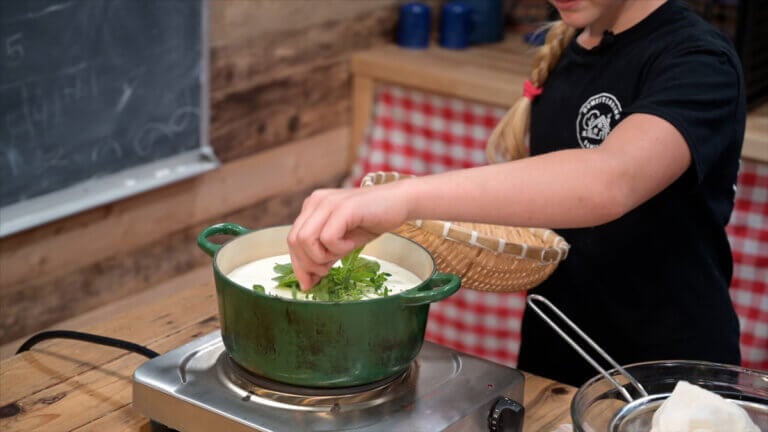 Chevre Cheese Recipe (Goat's Milk Cheese) — Homesteading Family
