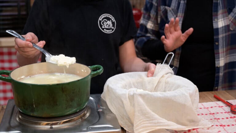 Chevre Cheese Recipe (Goat's Milk Cheese) — Homesteading Family