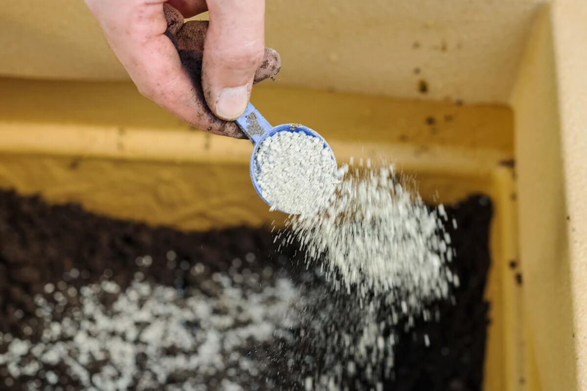 How to Make Bone Meal — Homesteading Family