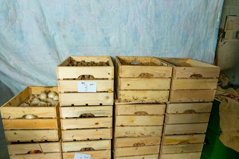 Root Cellaring for Beginners: Your Guide to Home Food Storage ...