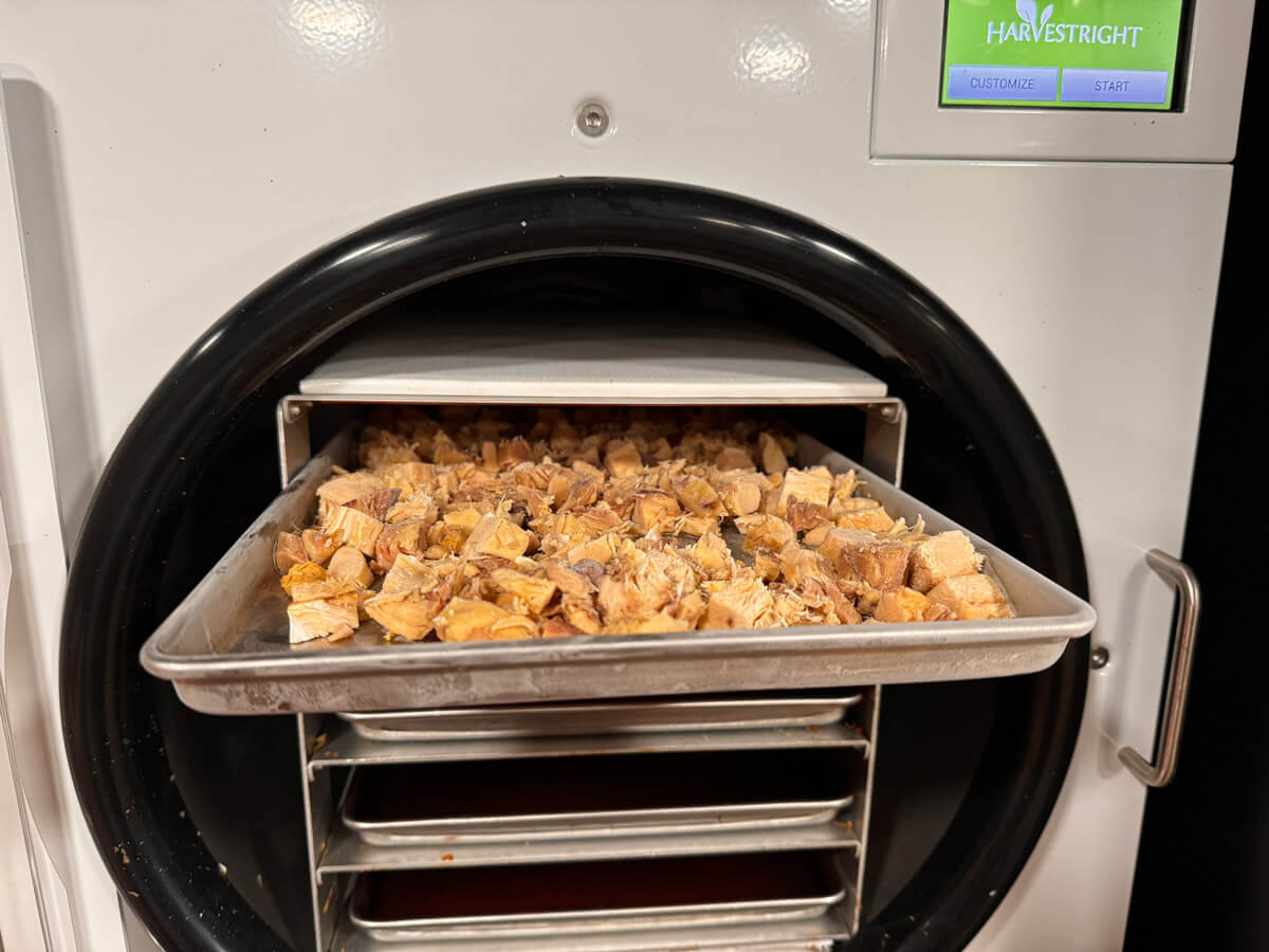 Freeze Drying Chicken at Home — Homesteading Family