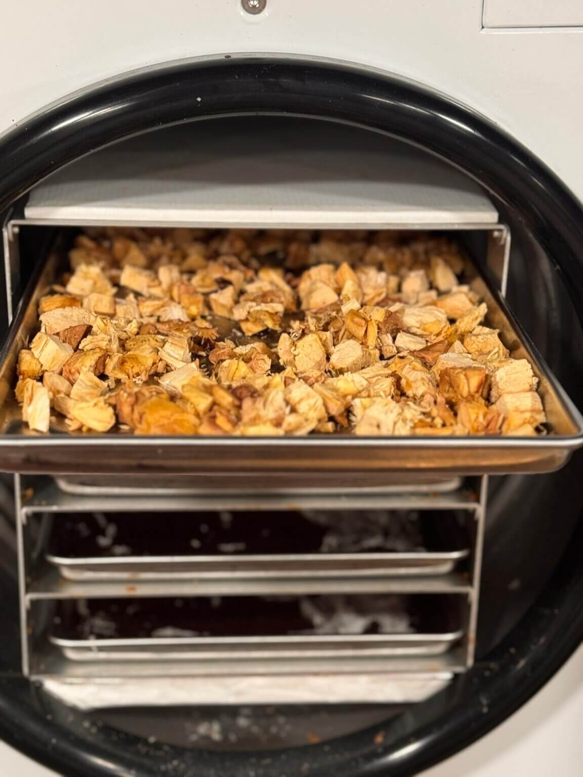 Freeze Dried Meat — Homesteading Family