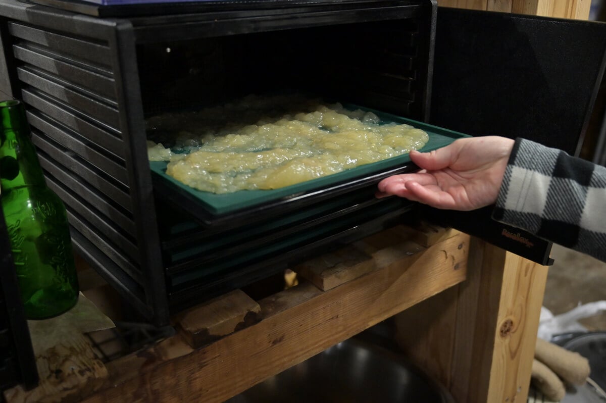 Chicken Bouillon Recipe (Dehydrator or Freeze Dryer Method ...