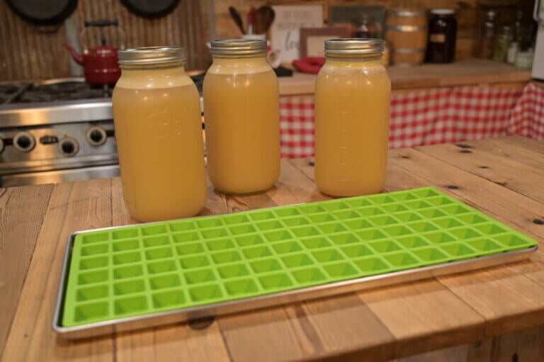 Our Favorite Freeze Drying Supplies — Homesteading Family