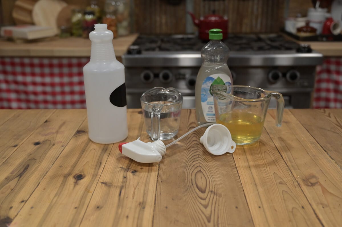 Homemade Glass Cleaner - A Non-Toxic Healthy Recipe