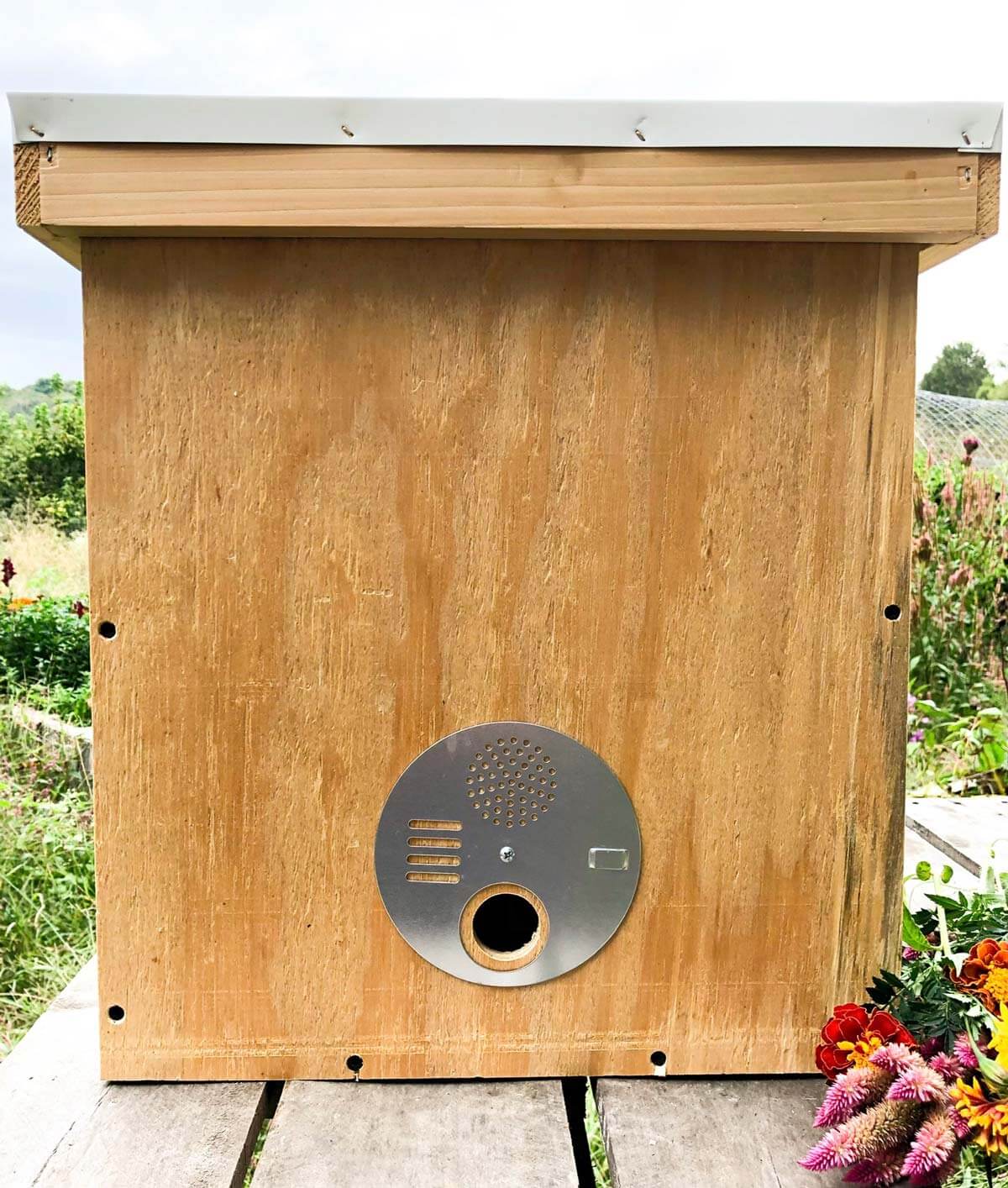 Must-Have Beekeeping Supplies (For the Beginner Beekeeper ...