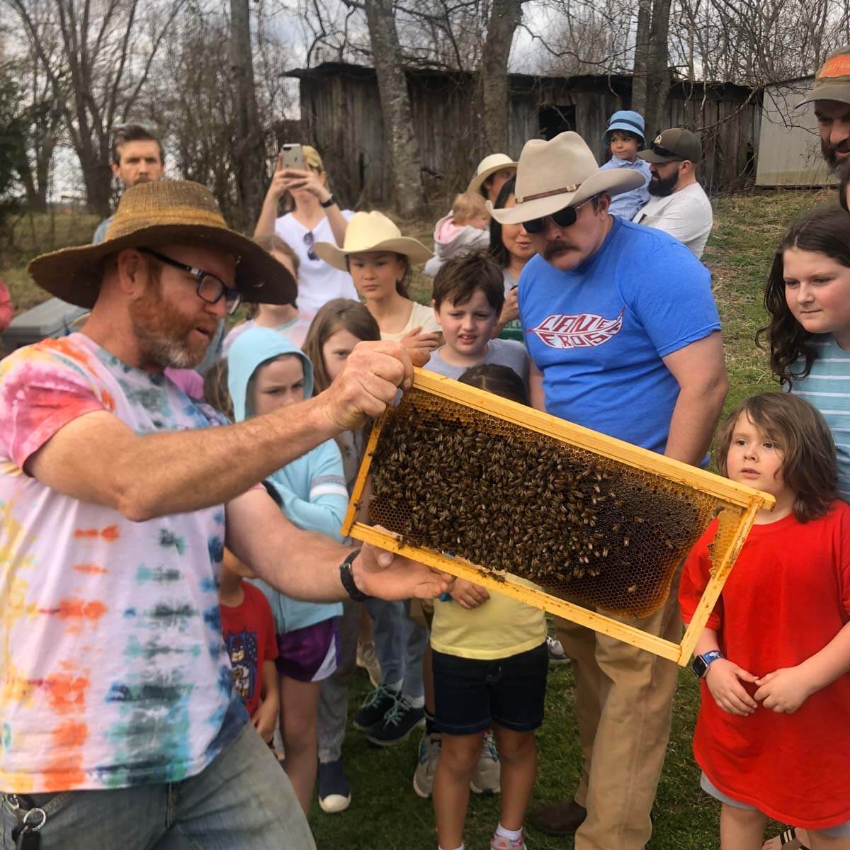 Must-Have Beekeeping Supplies (For the Beginner Beekeeper ...