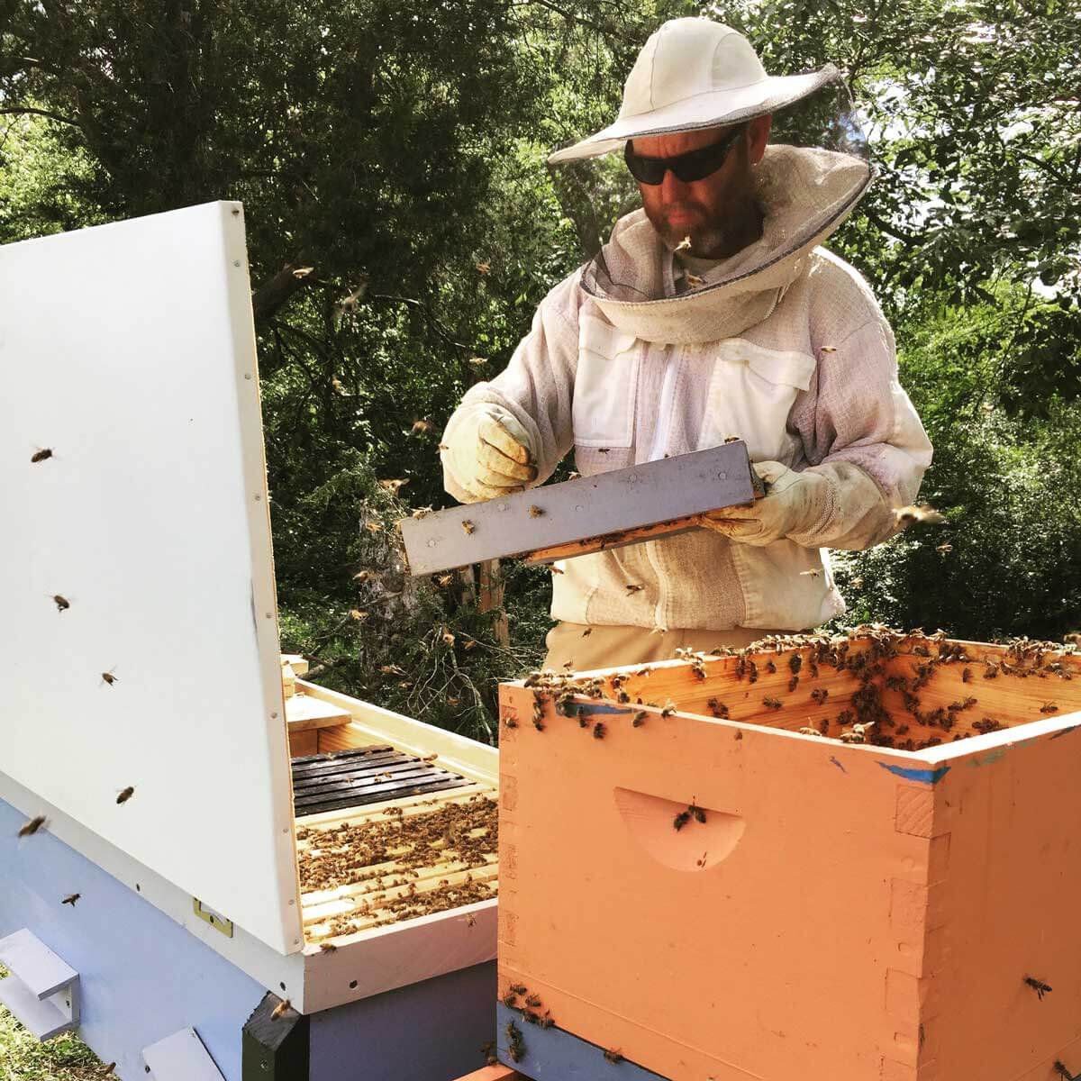 Must-Have Beekeeping Supplies (For the Beginner Beekeeper ...