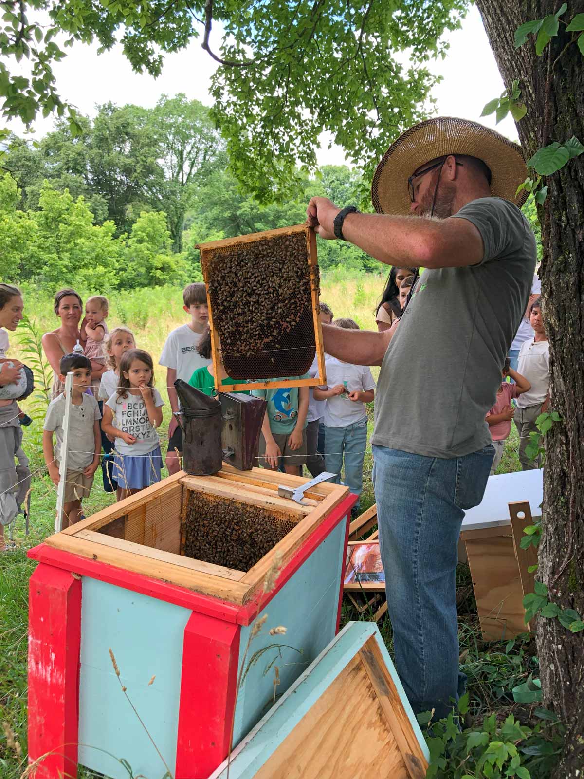 Must-Have Beekeeping Supplies (For the Beginner Beekeeper) — Homesteading Family