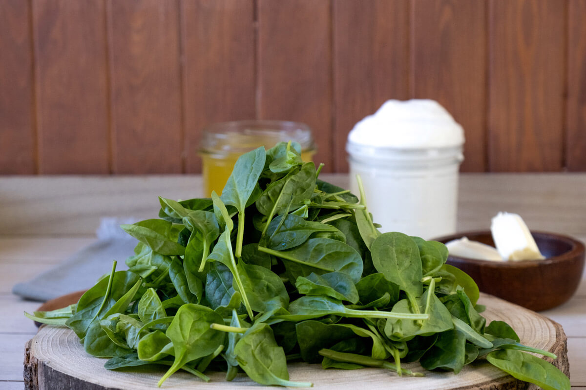 Fresh Sorrel Sauce: Perfect for Spring Dishes — Homesteading Family